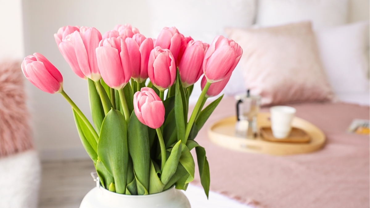 10 Macam - Macam Bunga Hiasan untuk Percantik Ruangan - FOMU